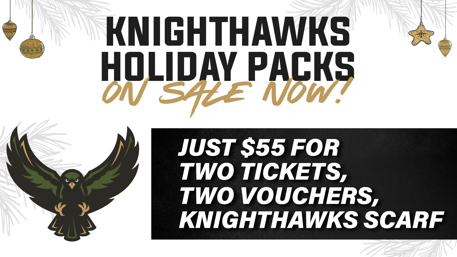 KNIGHTHAWKS HOLIDAY PACKS ON SALE NOW | Rochester Knighthawks ...