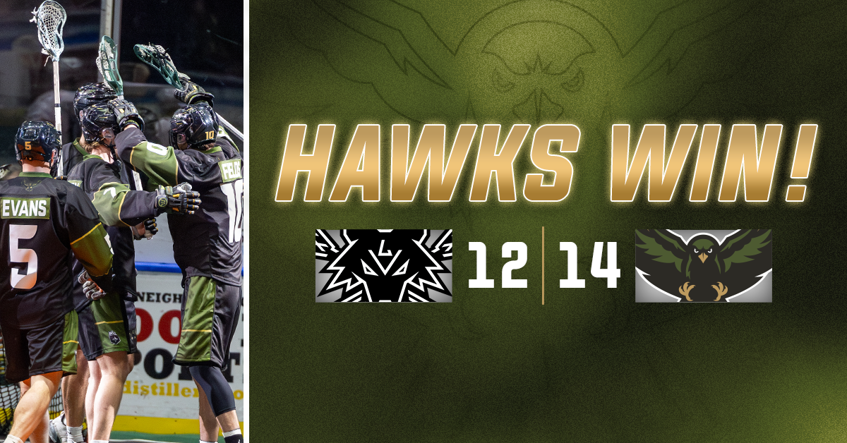 KNIGHTHAWKS OUTLAST DESERT DOGS IN SEASON OPENER | Rochester ...